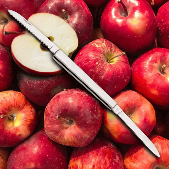 Steel Scale Double Blade Fruit & Melon Knife - AtlantaCutlery.com