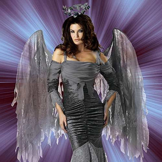 Fallen Angel Complete Halloween Costume